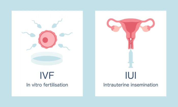 IIU vs FIV: qual é o tratamento de fertilidade certo para si? - Procriar